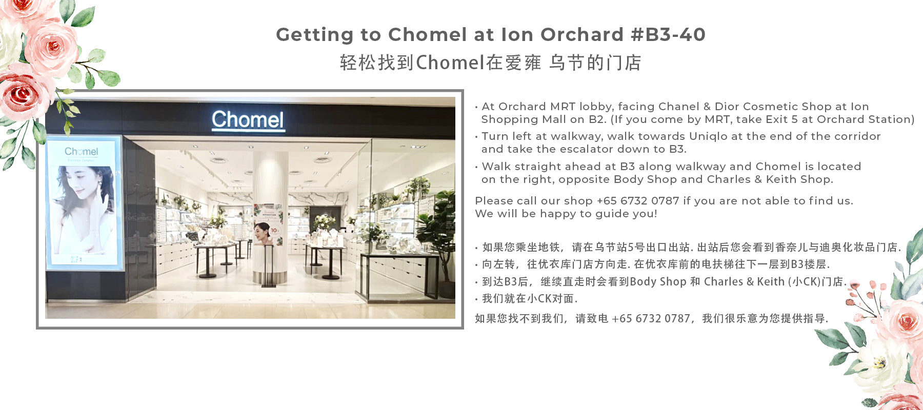 Chomel - Affordable, Everyday Luxuries – CHOMEL